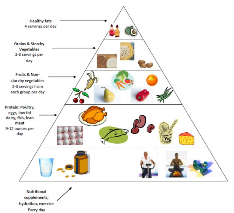 Bariatric Food Guide Pyramid and Plate Model | 360 Bariatrics: Re ...